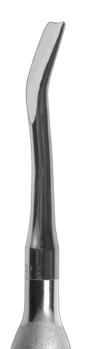 #31F Friedman – Zoll Dental