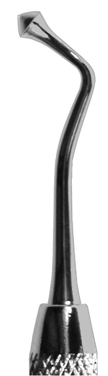 #21B Acorn Burnisher – Zoll Dental