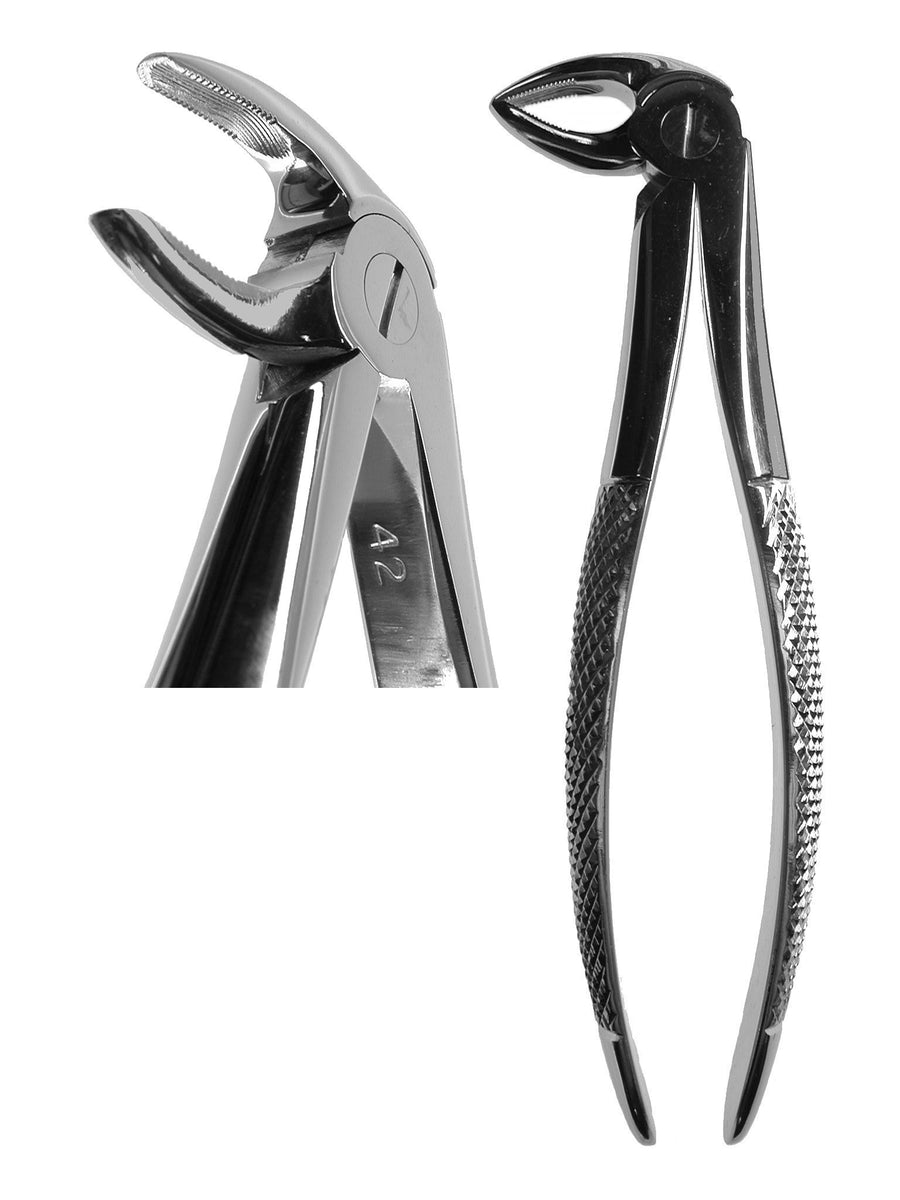 #33 English Forceps (Z-1029) – Zoll Dental