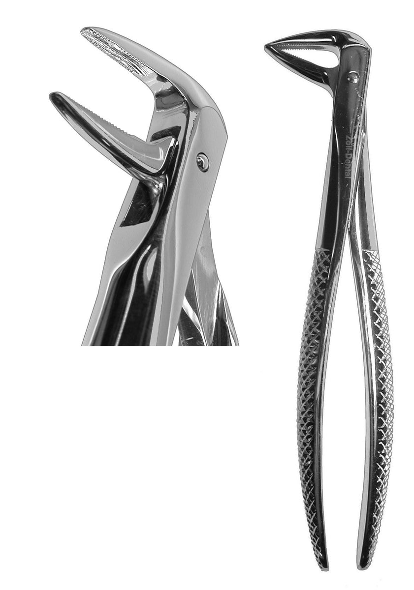 #74N Root Forceps (Z-1075) – Zoll Dental