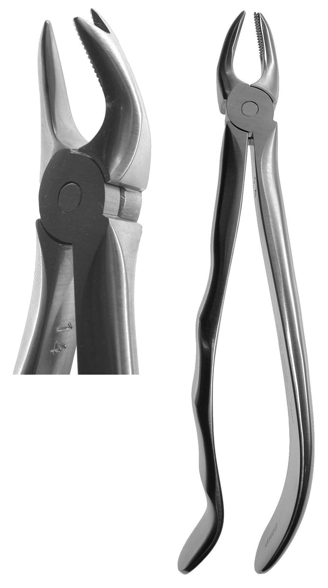 #89HP (66R) English Forceps (Profile Handle) [Z-2105] – Zoll Dental