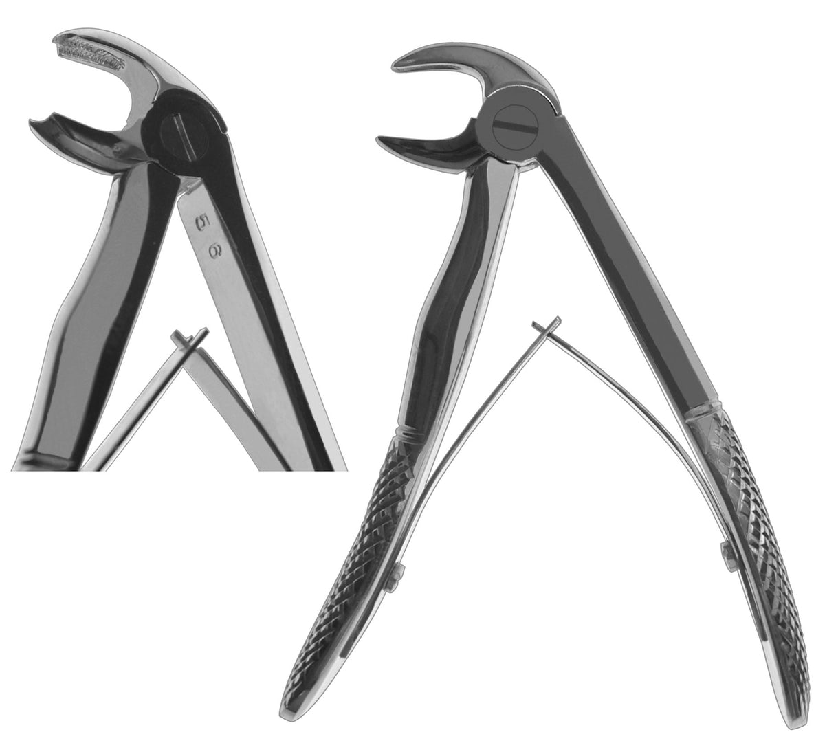 #6 Forceps (with Spring) [Z-1139] – Zoll-Dental