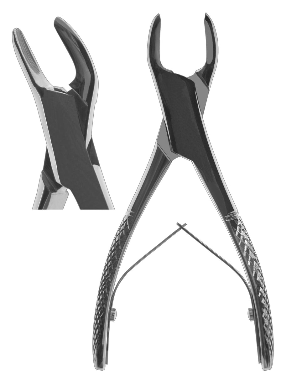 #151SK Forceps (with Spring) [Z-1203] – Zoll Dental