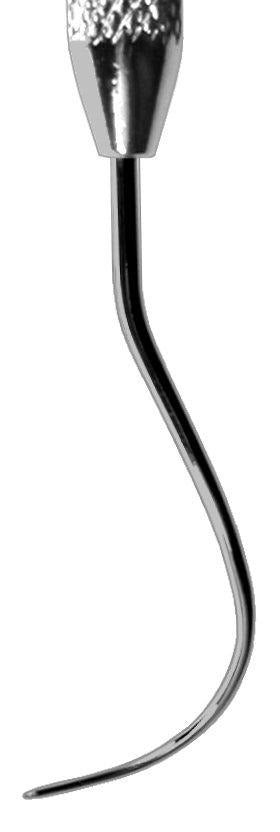 #2N Nabors (No Marking) – Zoll Dental