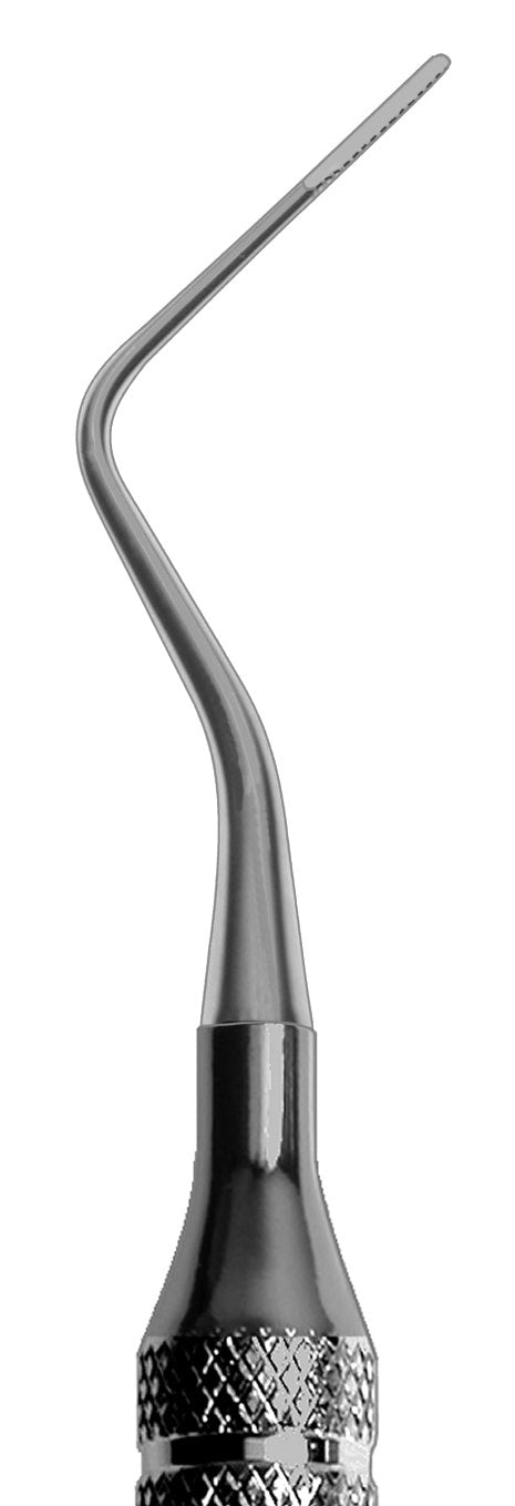 Davis Root Tip Teaser #10 Serrated – Zoll Dental