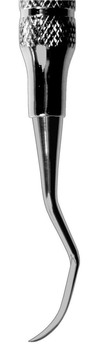 #204 – Zoll Dental